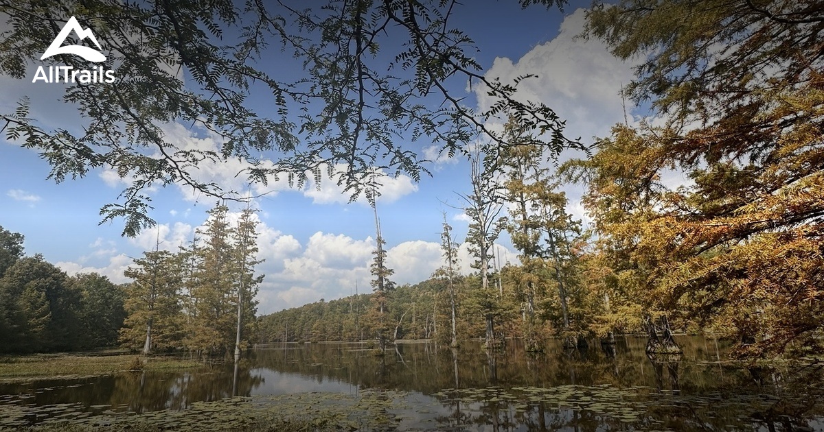 Arkansas Trail Bucket List | List | AllTrails
