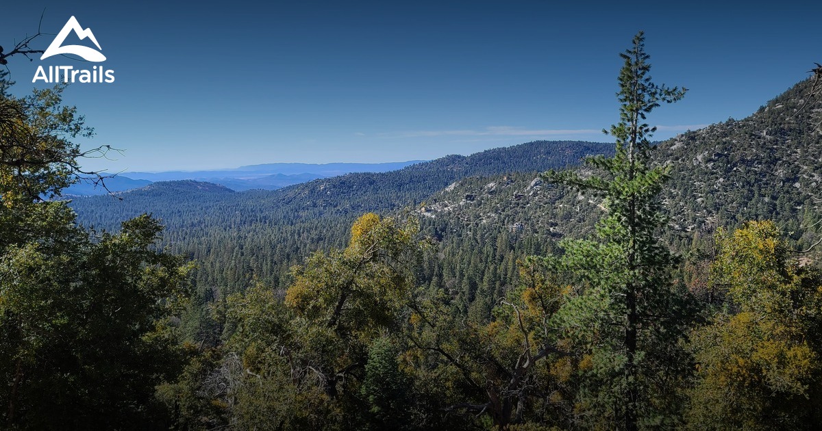 Hurkey Creek Trails | List | AllTrails