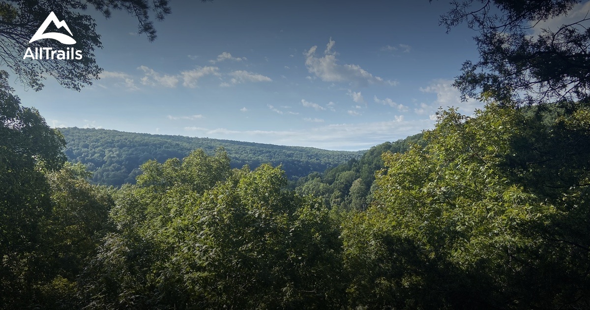 Whitaker Point (Hawksbill) | List | AllTrails