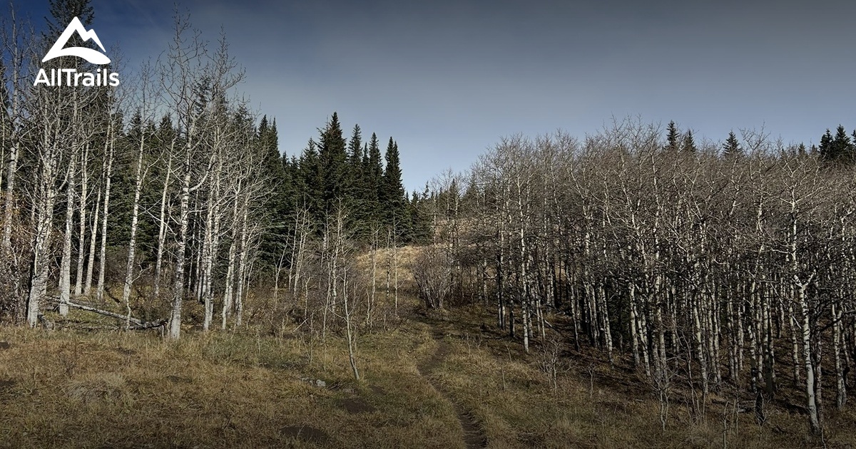 Hard hikes no doggos | List | AllTrails