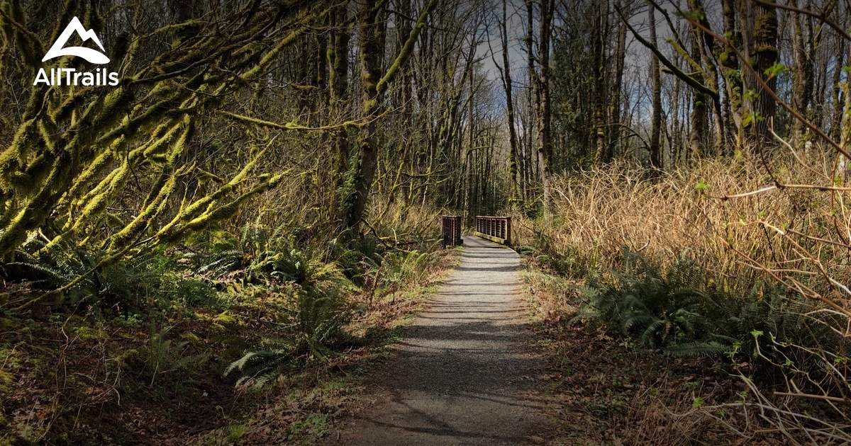 Squak Mountain State Park | List | AllTrails