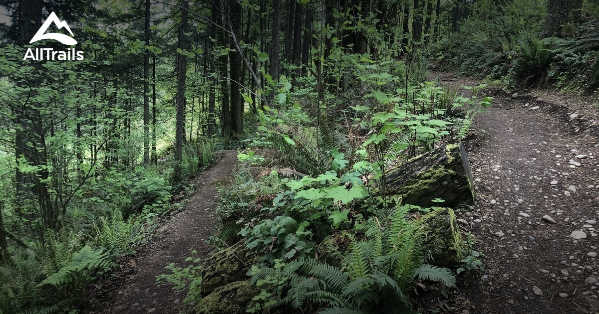 Tiger mountain state park | List | AllTrails