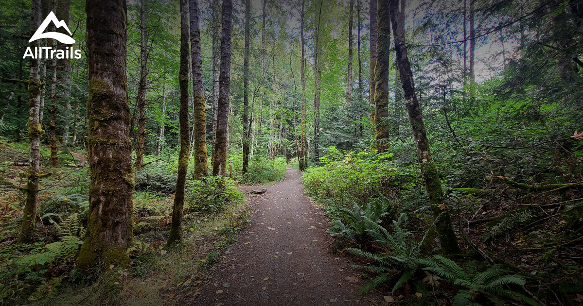 Tiger mountain state park | List | AllTrails