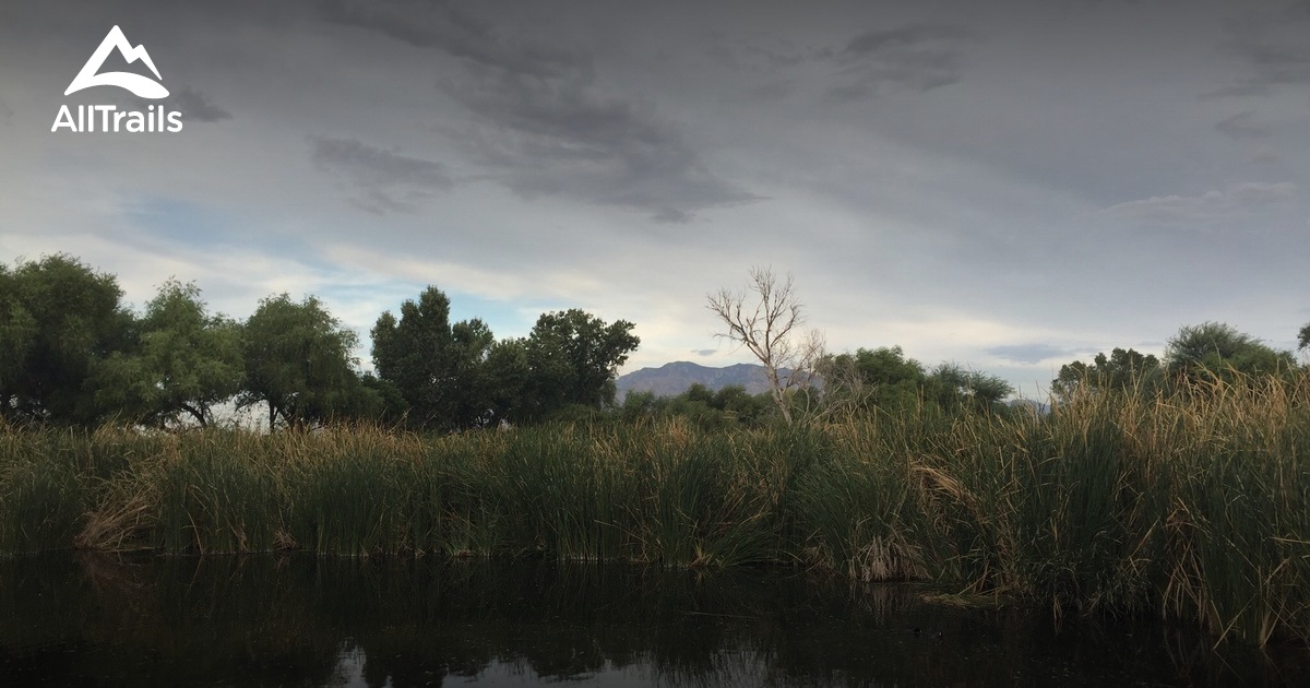 Walks For Lars | List | AllTrails