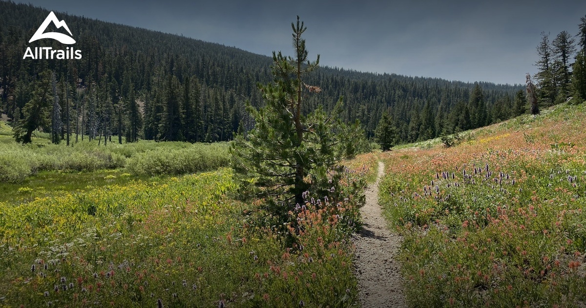 Calpine hikes | List | AllTrails