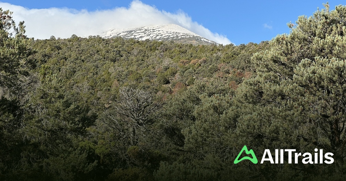 Nevada Stuff | List | AllTrails