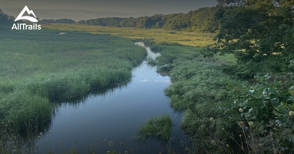 Cape Cod (MA) Rail Trails | List | AllTrails