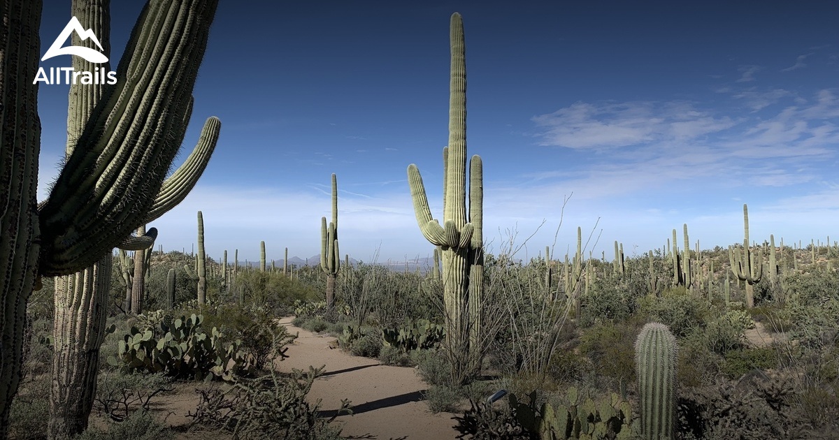 Drive/Short Hike | List | AllTrails