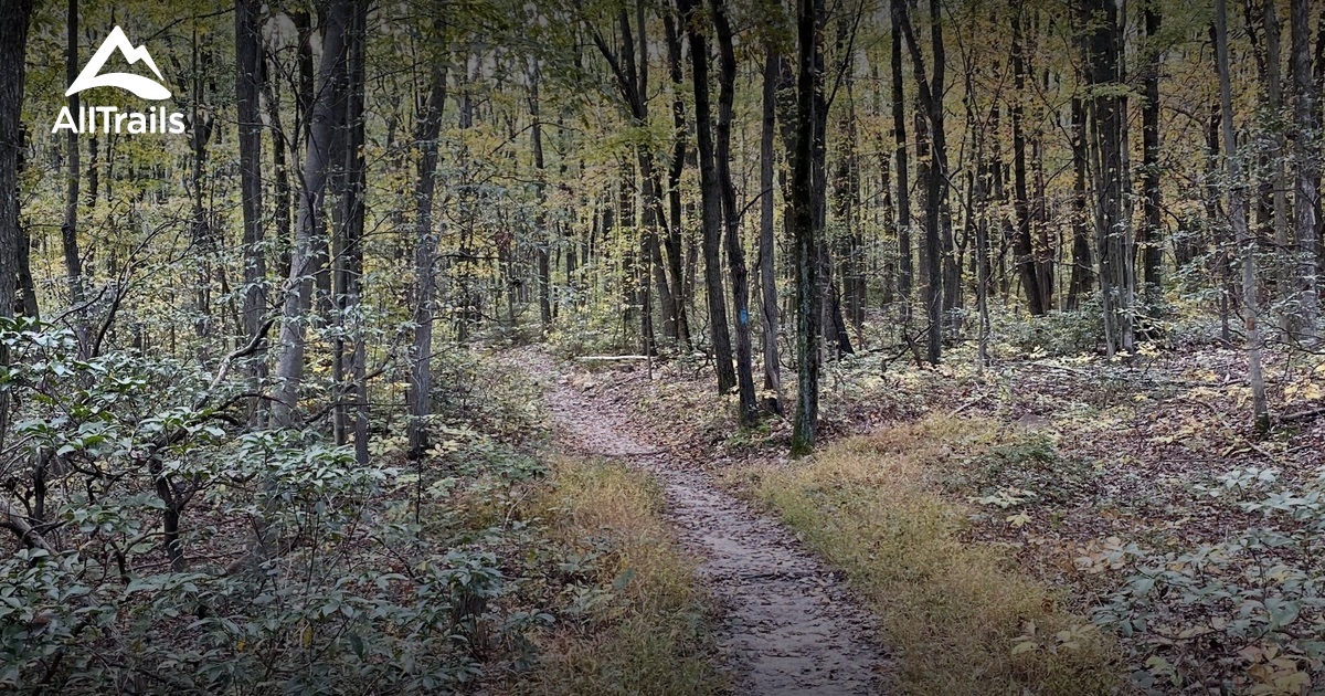 Money Rocks County Park | List | AllTrails