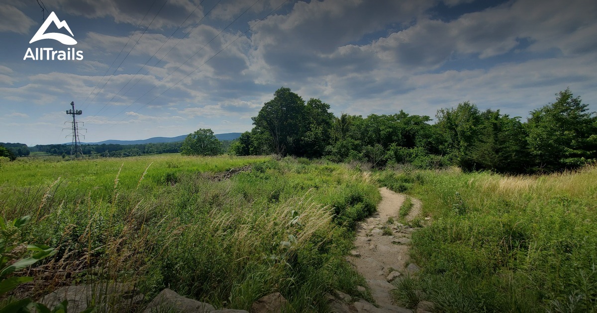 Wawayanda State Park | List | AllTrails