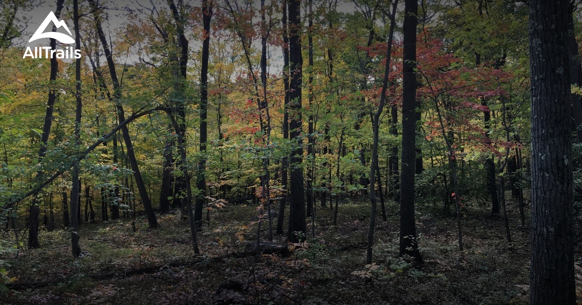 Wildcat Ridge | List | AllTrails