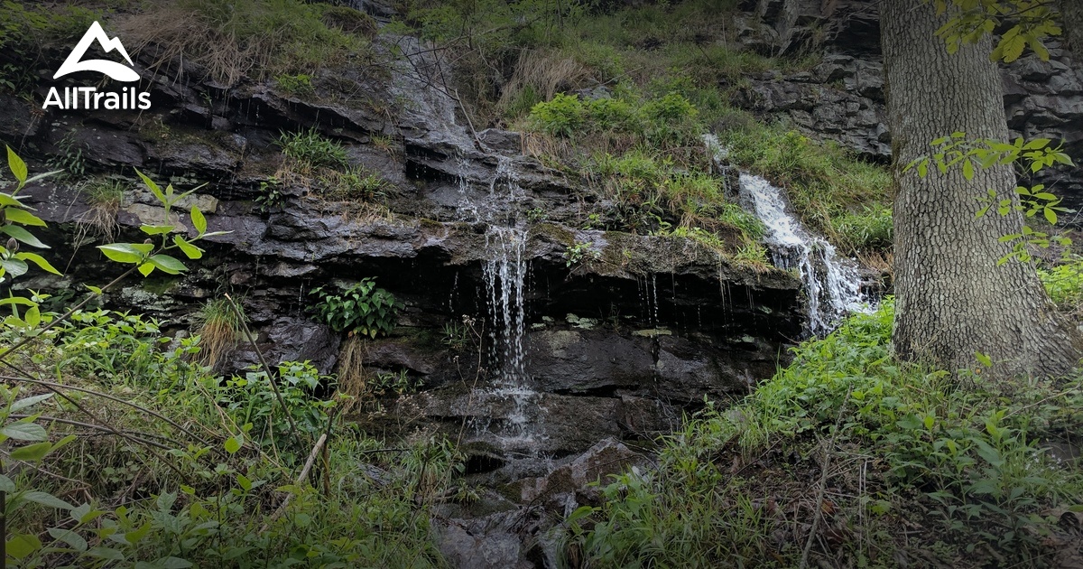 Calhoun Trails | List | AllTrails