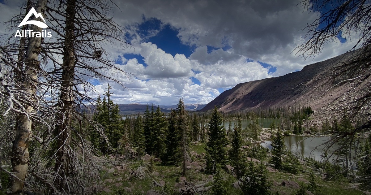 Tabiona area | List | AllTrails