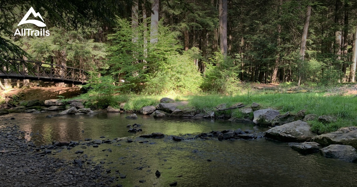 cooks Forest State Park | List | AllTrails