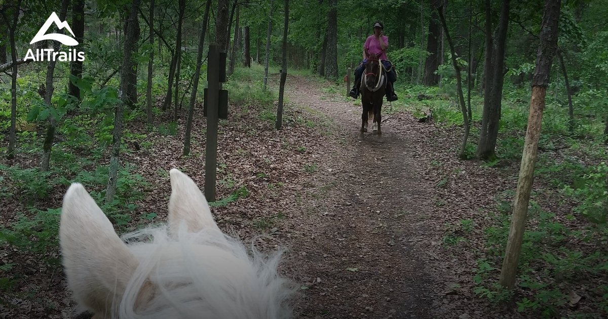 using app to follow trails | List | AllTrails