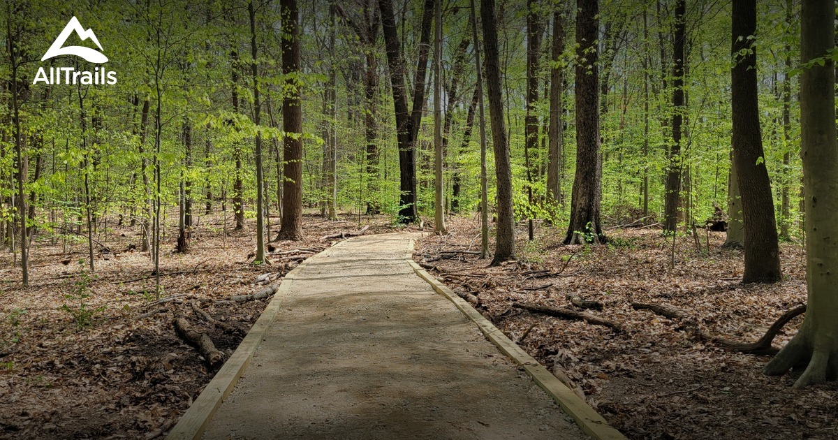 Places to try walking | List | AllTrails