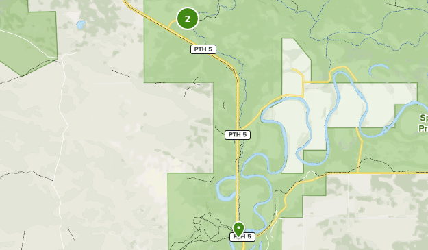 Spruce woods provincial park | List | AllTrails