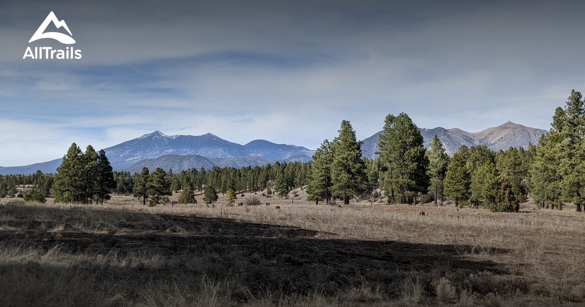 Flagstaff summer hikes | List | AllTrails