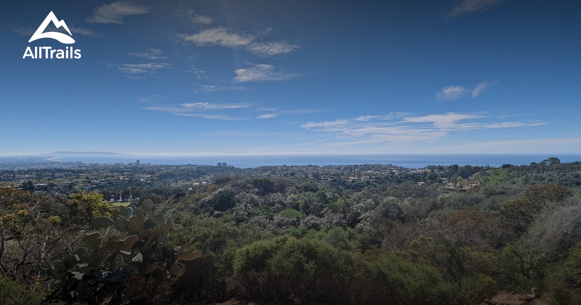 Easy Trail Walks | List | AllTrails