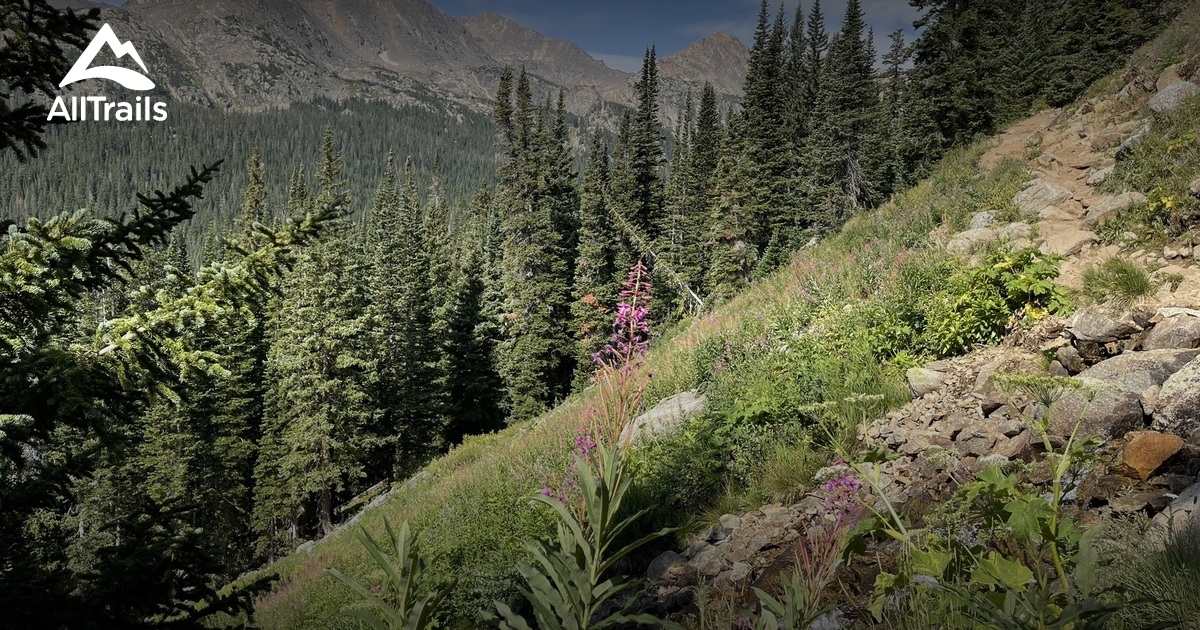 Small Trail | List | AllTrails