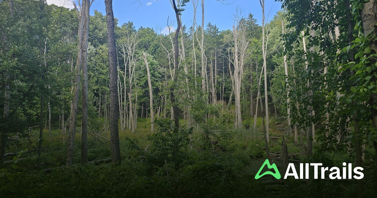 MPP fav trails | List | AllTrails