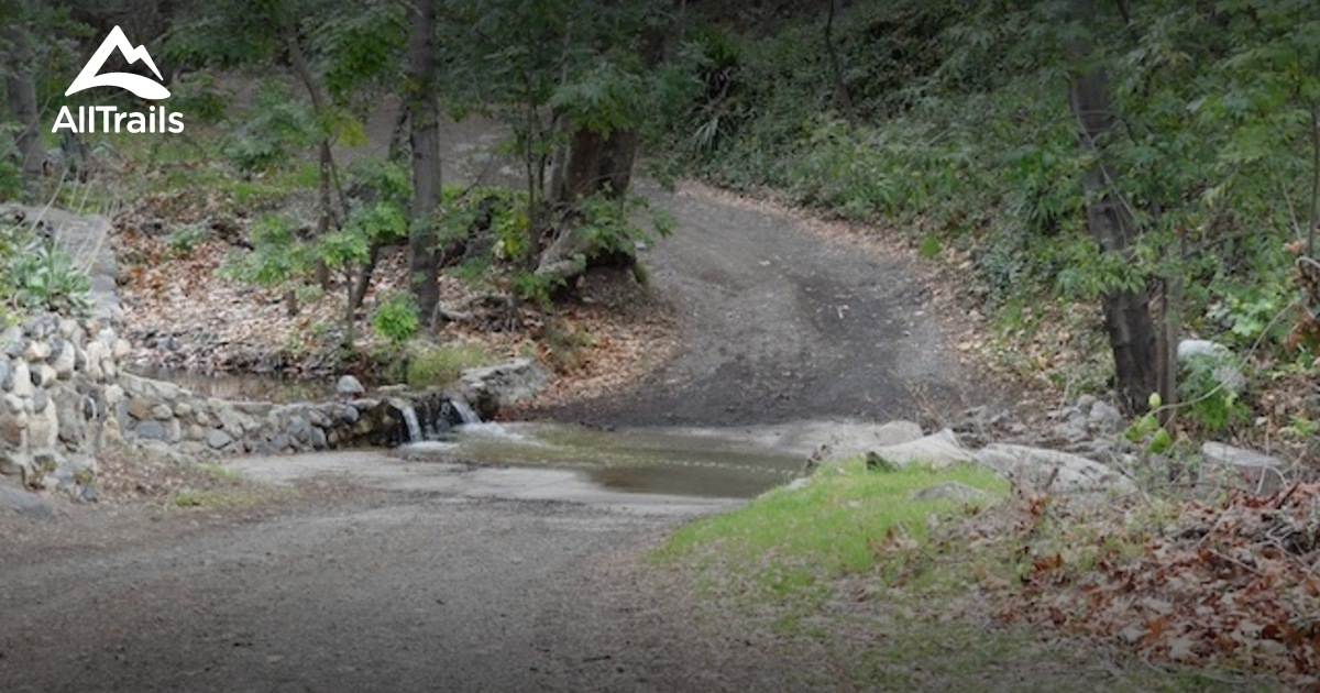 [Insert day] Night Lights | List | AllTrails