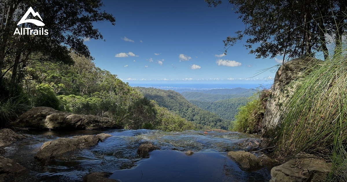Brisbane hikes explored | List | AllTrails