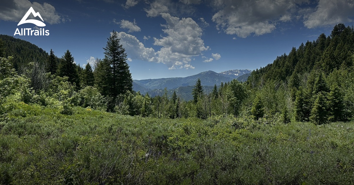 Best Hikes in Northern Utah | List | AllTrails