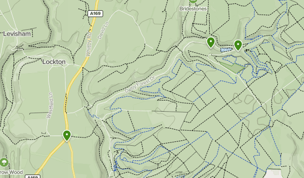 Dalby forest | List | AllTrails