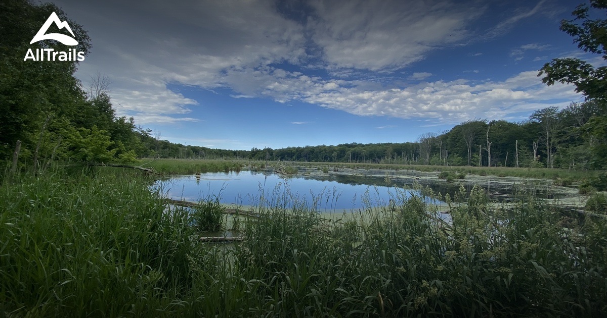 Michigan Hiking Trails | List | AllTrails