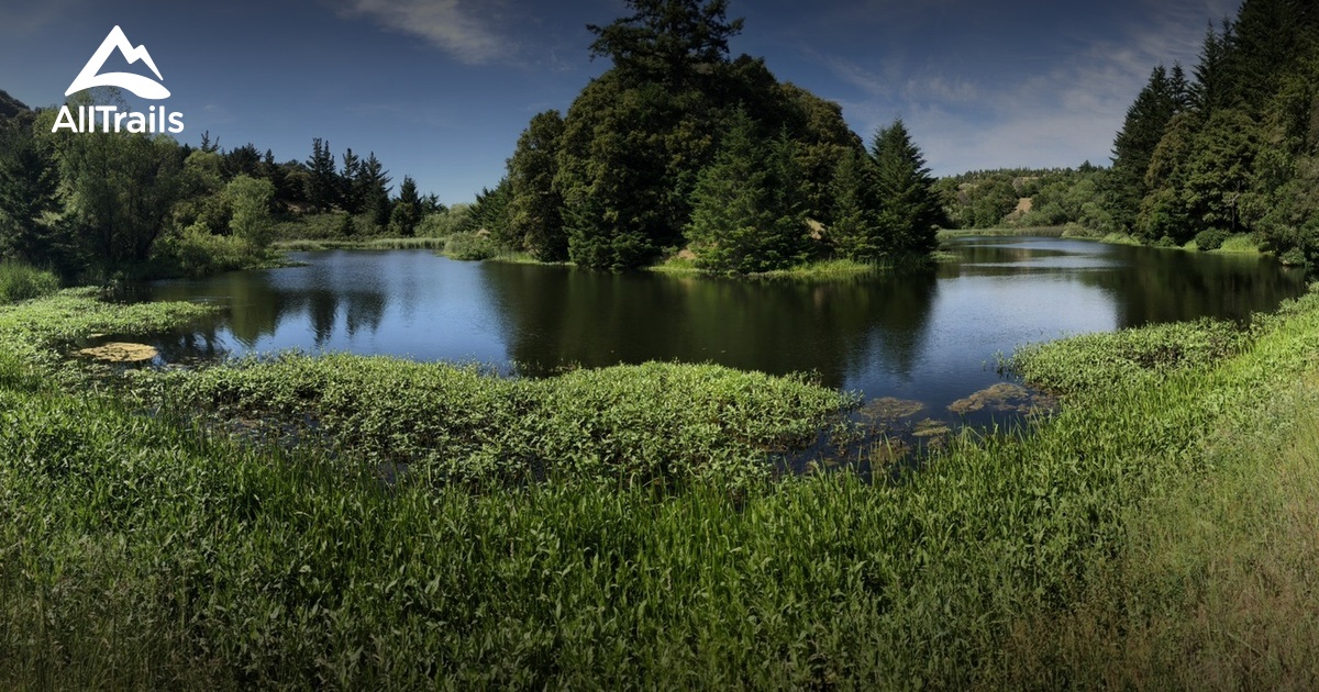 Saturday Hike Mid-Peninsula | List | AllTrails