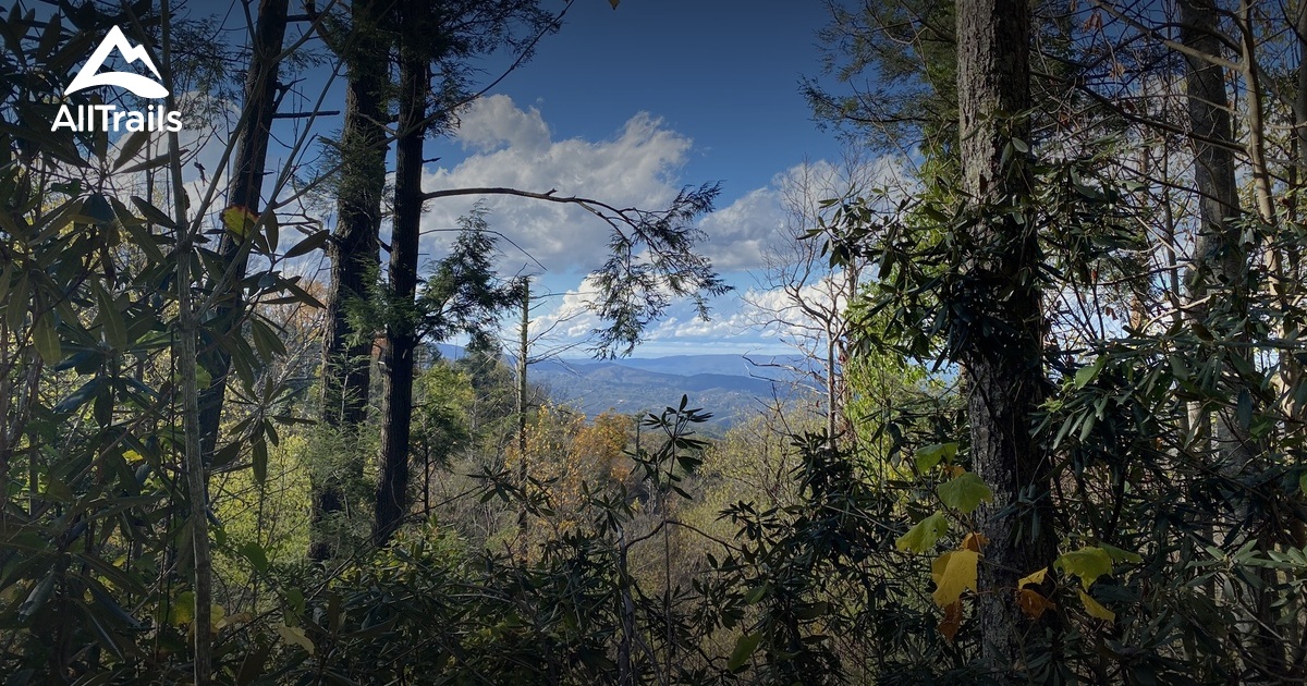 GSMNP Waterfalls | List | AllTrails