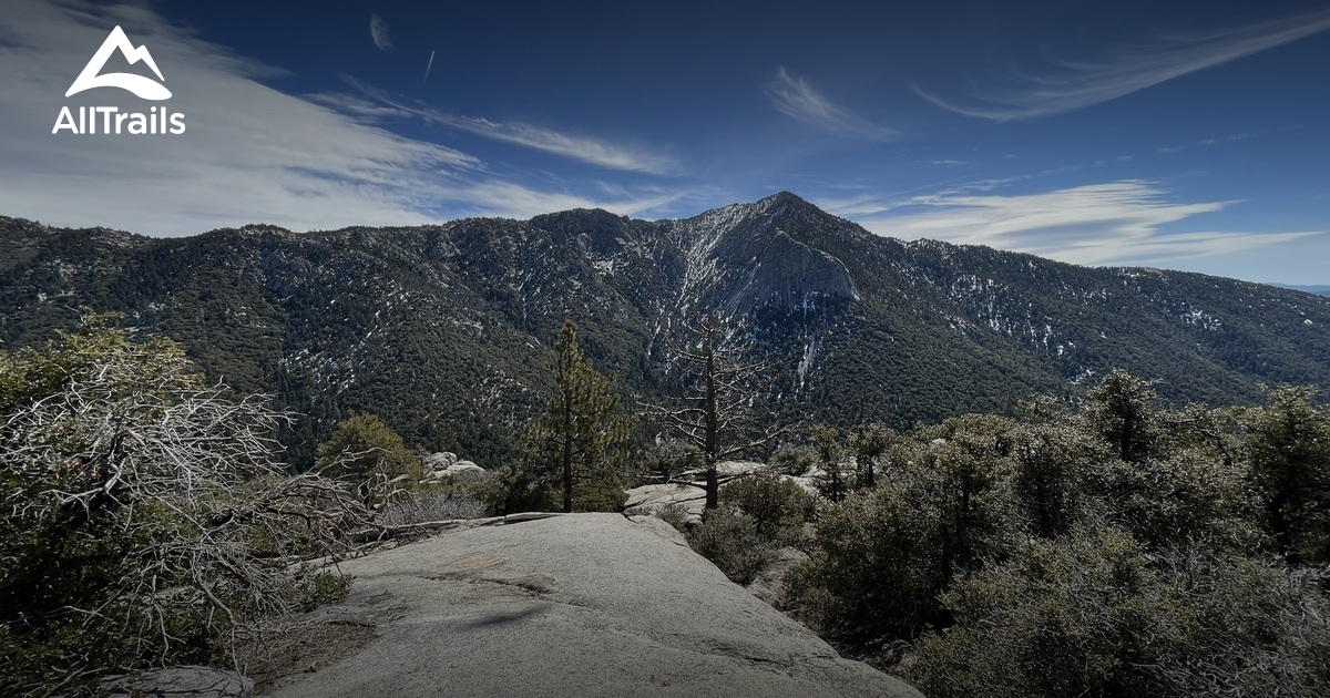 Mt. San Jacinto State Park | List | AllTrails