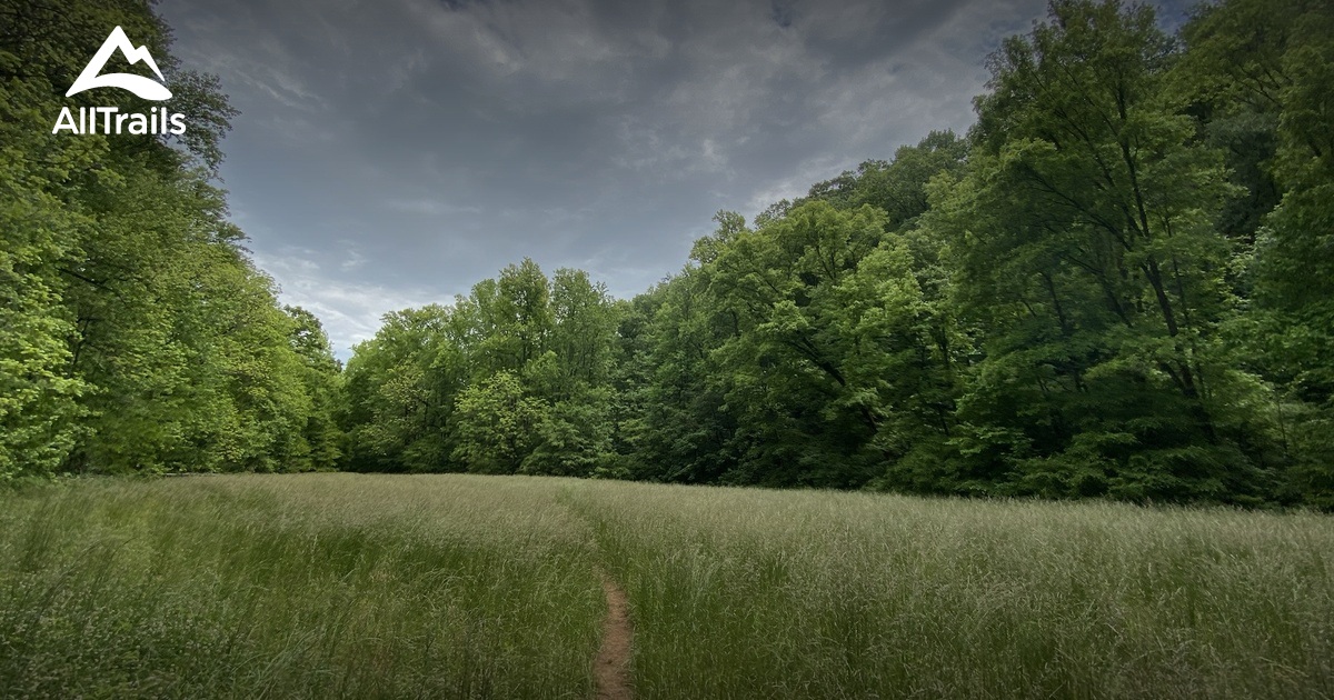 Lake becky | List | AllTrails