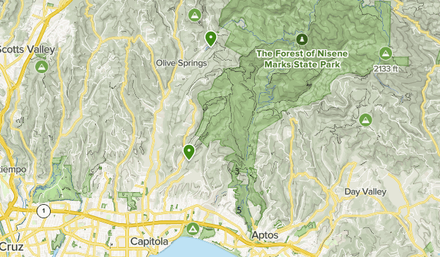 The Forest of Nisene Marks State Park | List | AllTrails