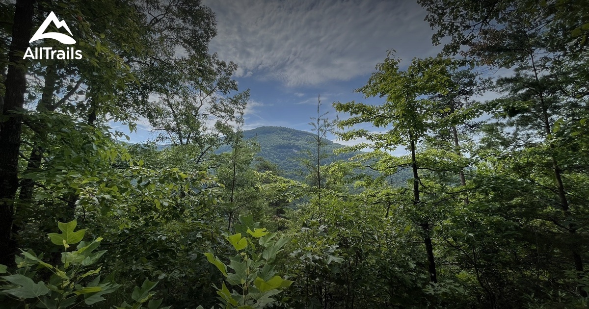 Lake Lure trails | List | AllTrails