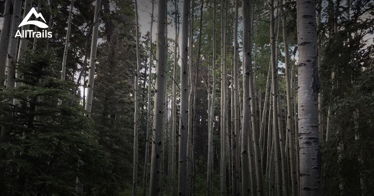 Maps I've Edited | List | AllTrails