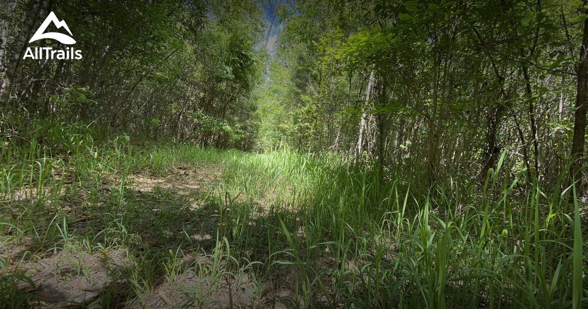 Goal rides | List | AllTrails