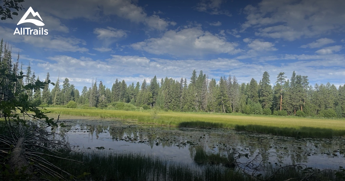 McCall Hiking Trails | List | AllTrails