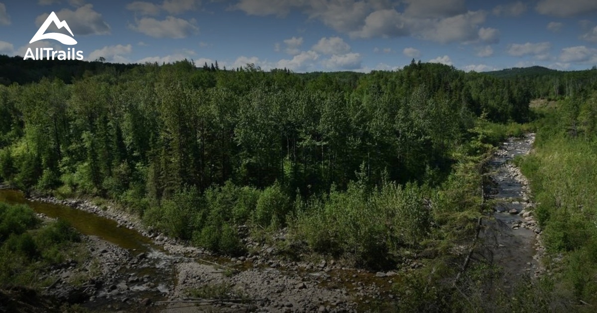 Porcupine Provincial Forest | List | AllTrails