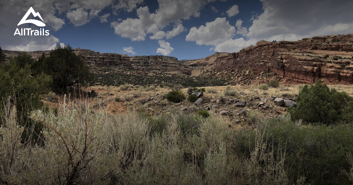 Hikes near Palisade-Grand Junction | List | AllTrails
