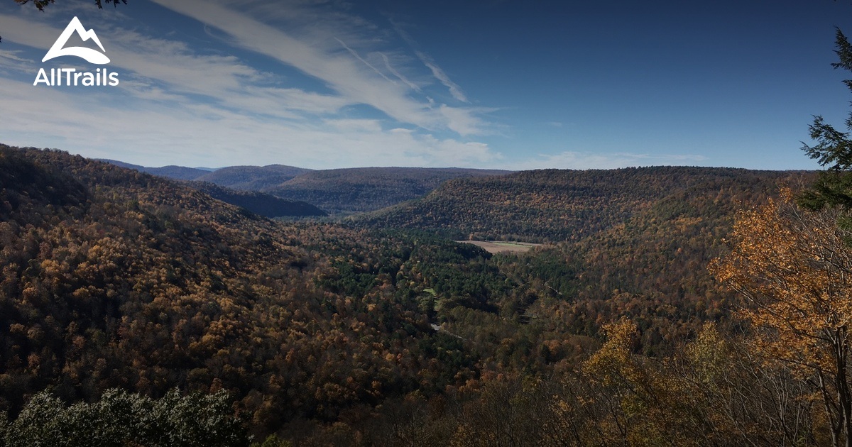 Loyalsock Forest | List | AllTrails