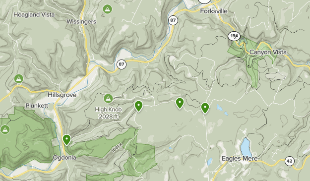 Loyalsock Forest | List | AllTrails