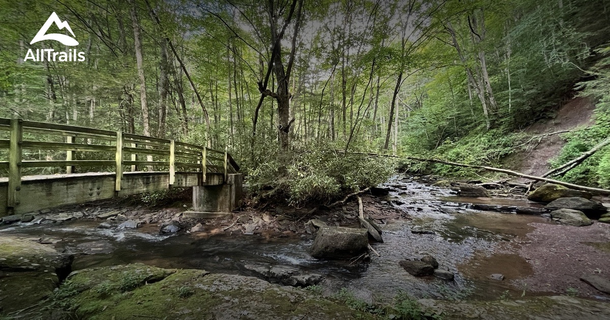 Cranberry Glades Trails | List | AllTrails