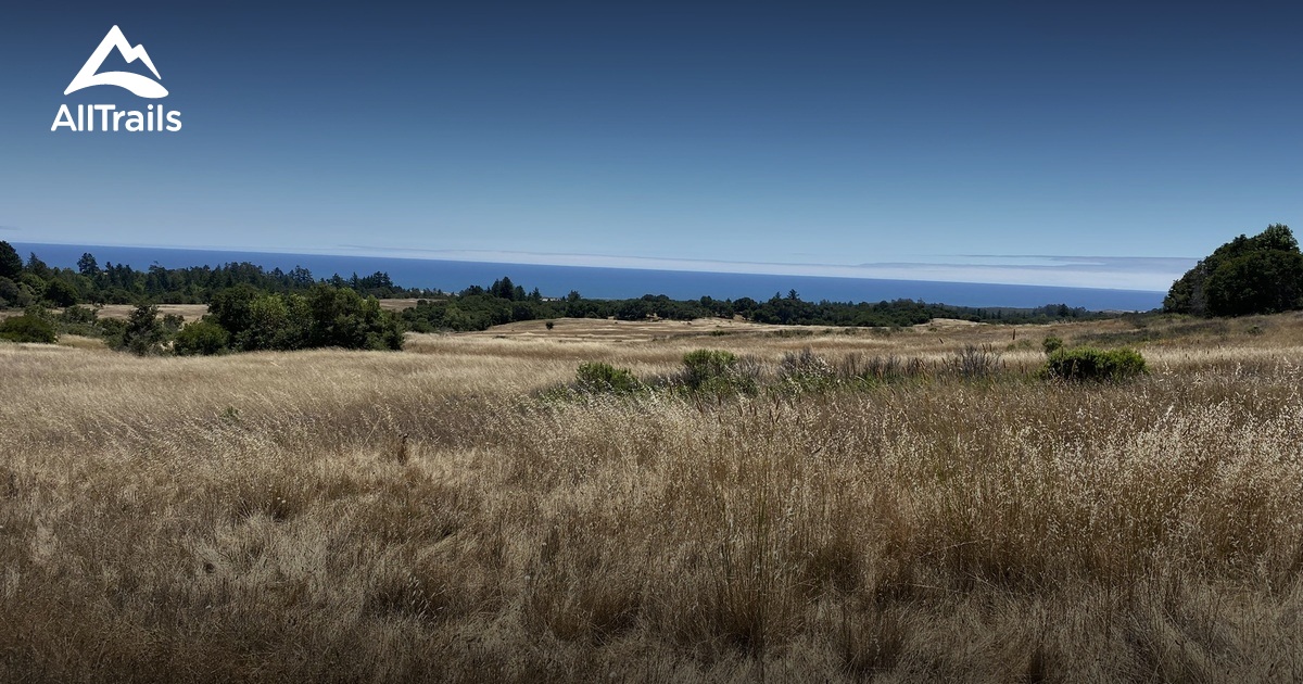 Wilder Ranch State Park | List | AllTrails