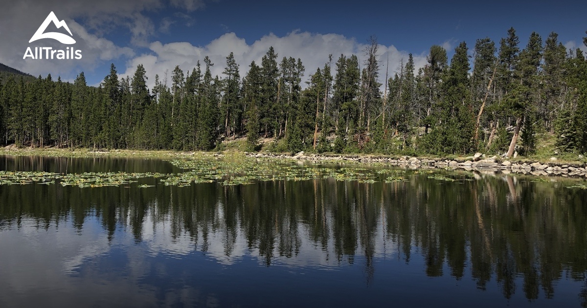 Custer National Forest | List | AllTrails