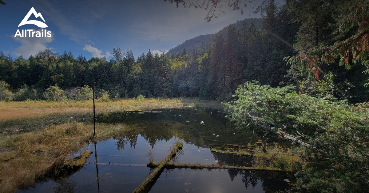sasquatch provincial park | List | AllTrails