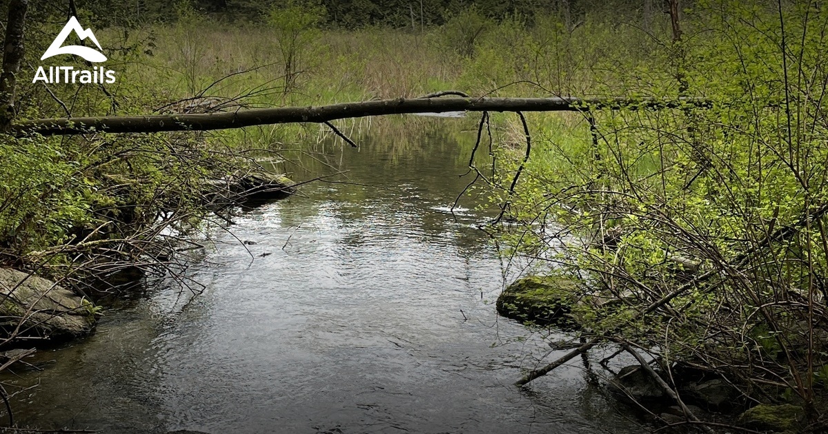 sasquatch provincial park | List | AllTrails