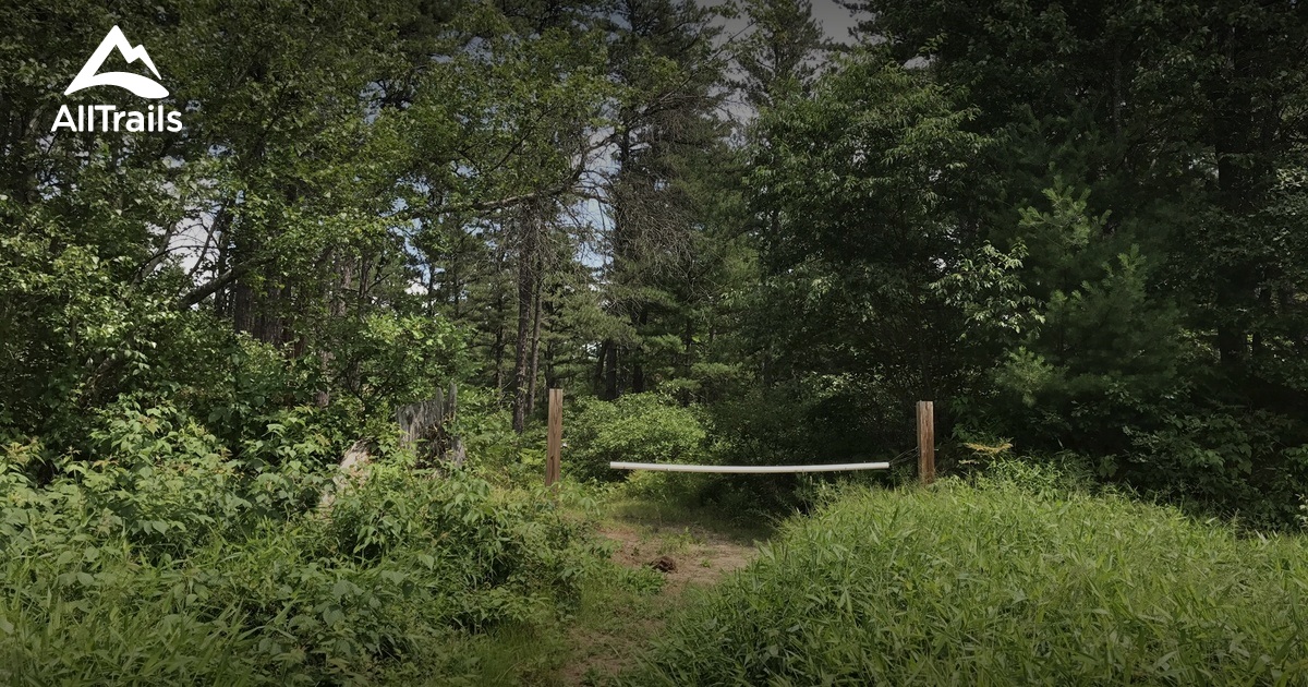 Lake ossipee | List | AllTrails