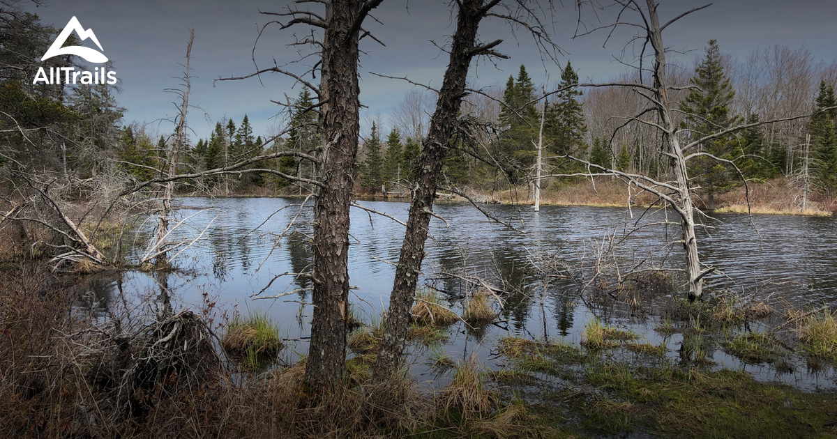 Schoodic Area | List | AllTrails